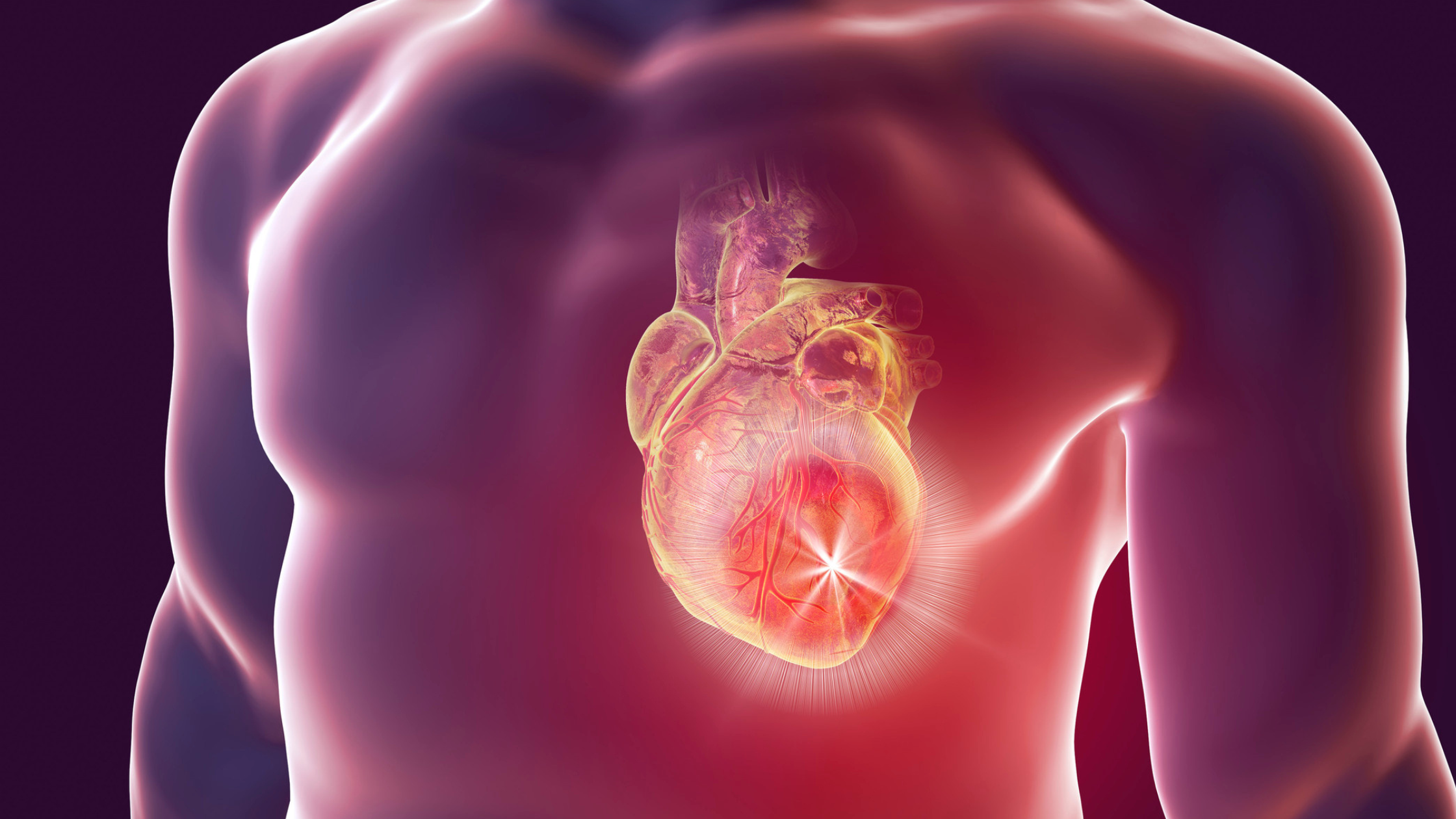 Angina NCLEX Review For Nursing Students Free EBook Download angina-nclex-review-for-nursing-students-free-ebook-download